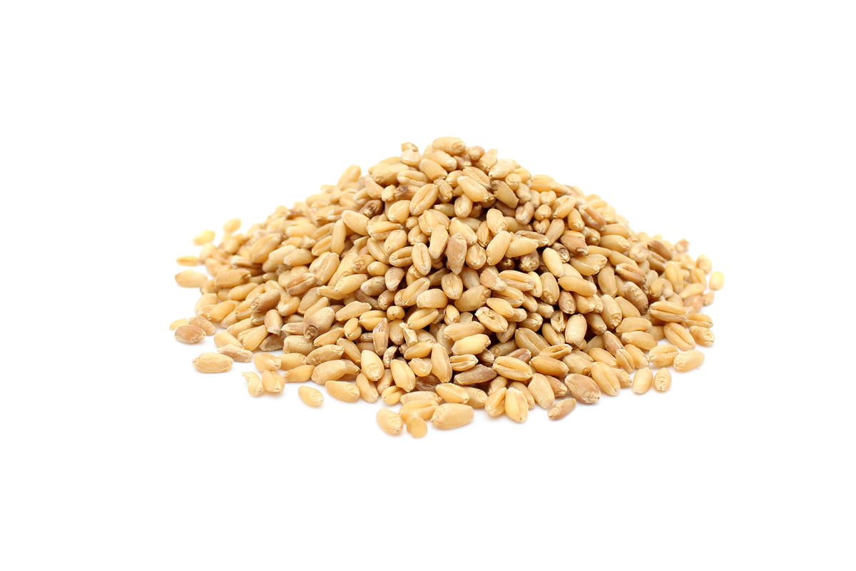 Trigo Entero – La Mejicana - Moliendas y Frutos Secos